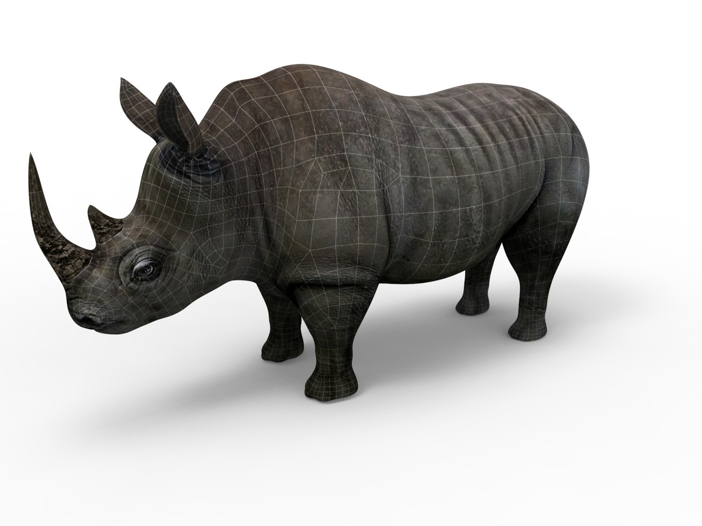 Realistic Rhino Rigged 3D Model - TurboSquid 1265217