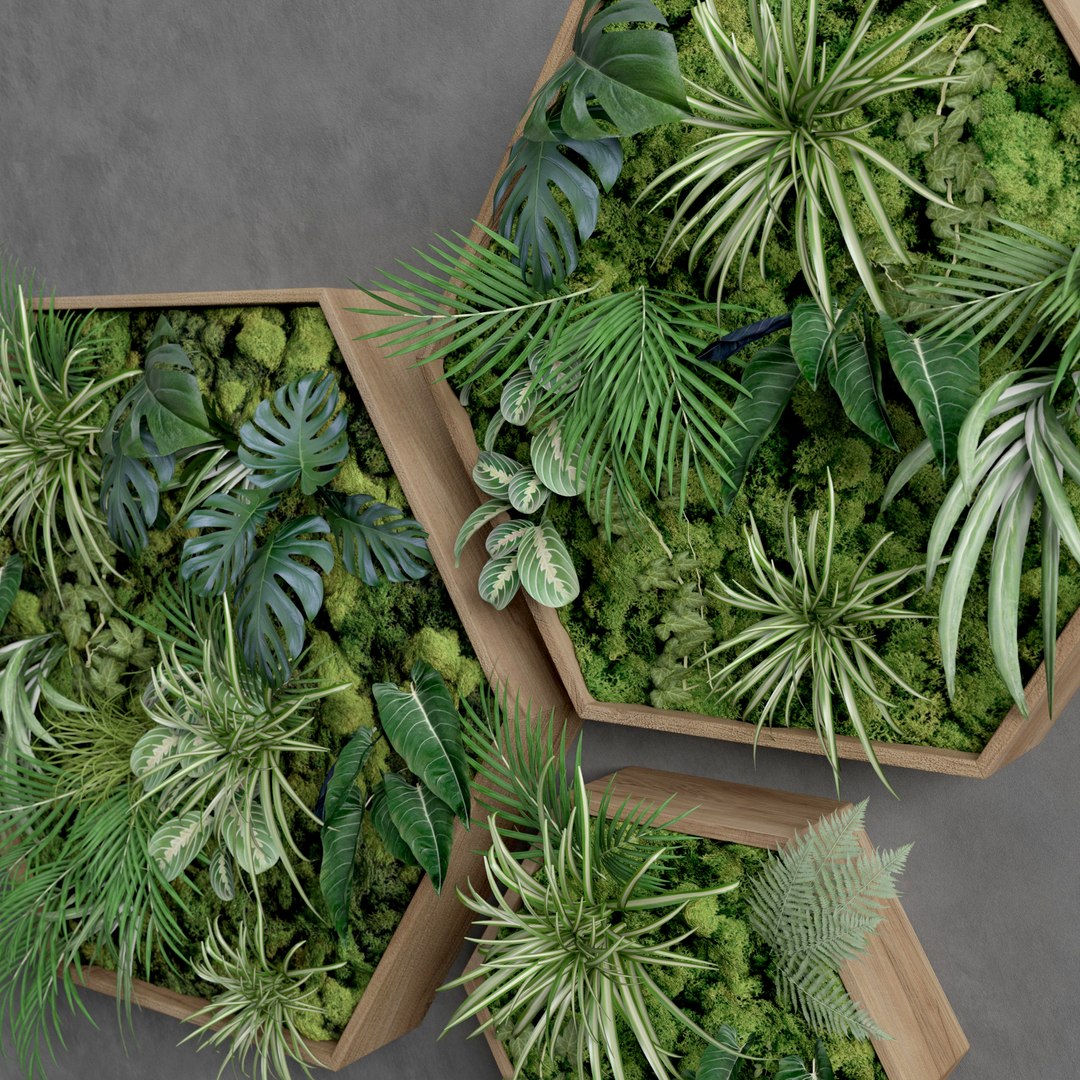 Decorative Green Moss Set 3D Model - TurboSquid 1435836