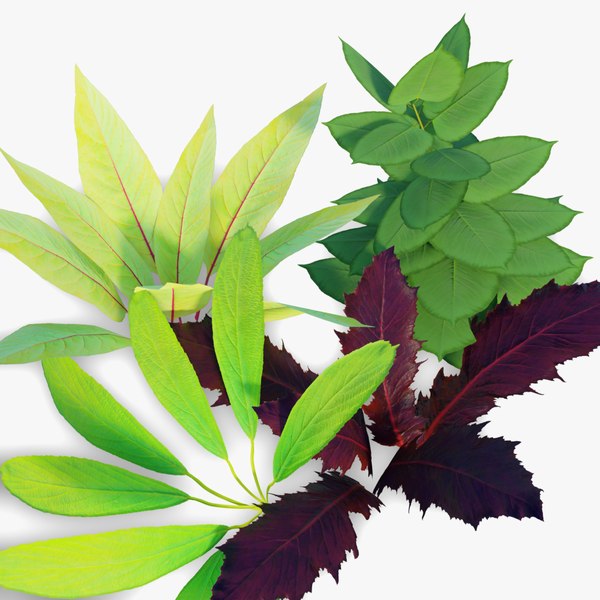 Low Grow Flora Collection 3D - TurboSquid 1866458