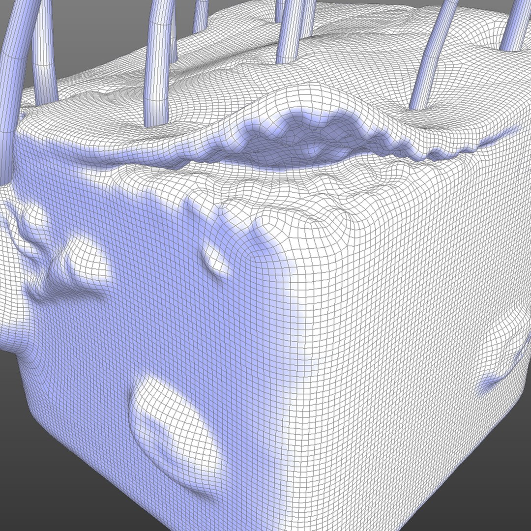 Human Skin 3D Model - TurboSquid 1521185