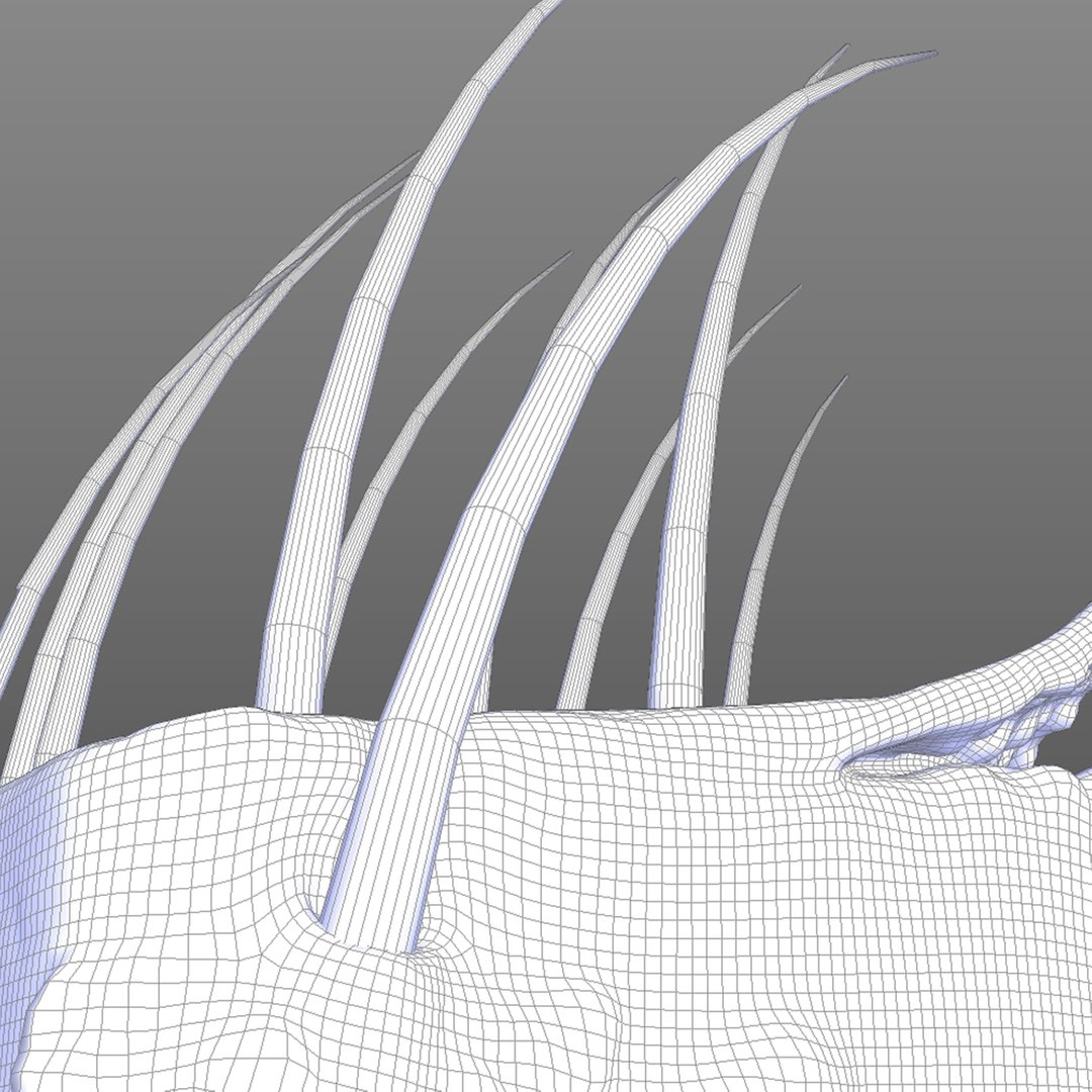 Human Skin 3D Model - TurboSquid 1521185
