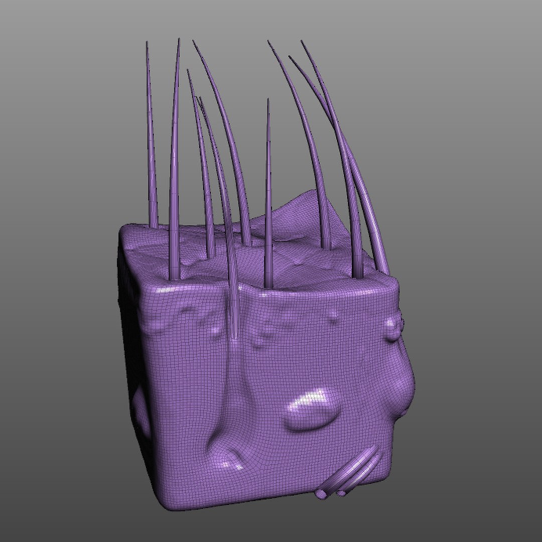 Human Skin 3D Model - TurboSquid 1521185