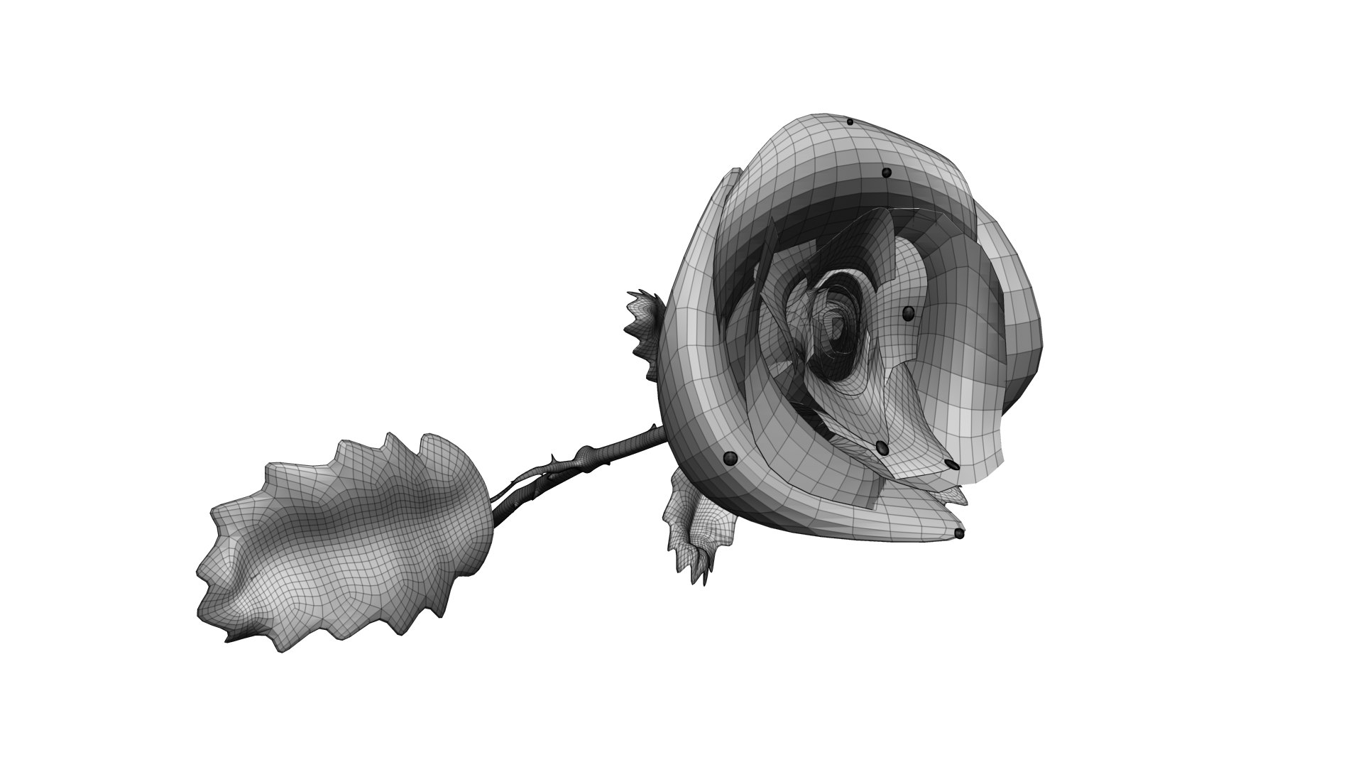 3D rose flower - TurboSquid 1824828