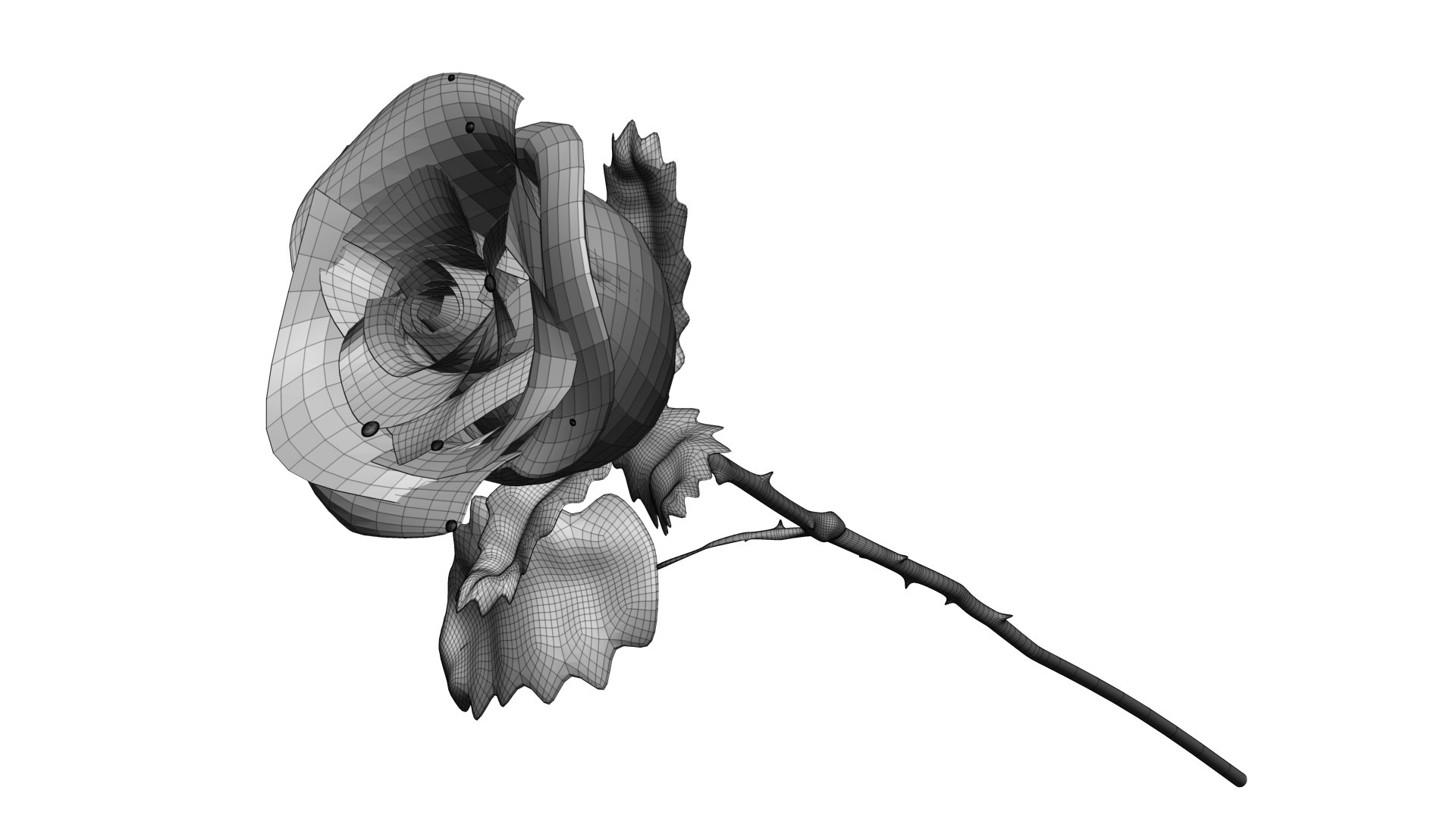 3D rose flower - TurboSquid 1824828