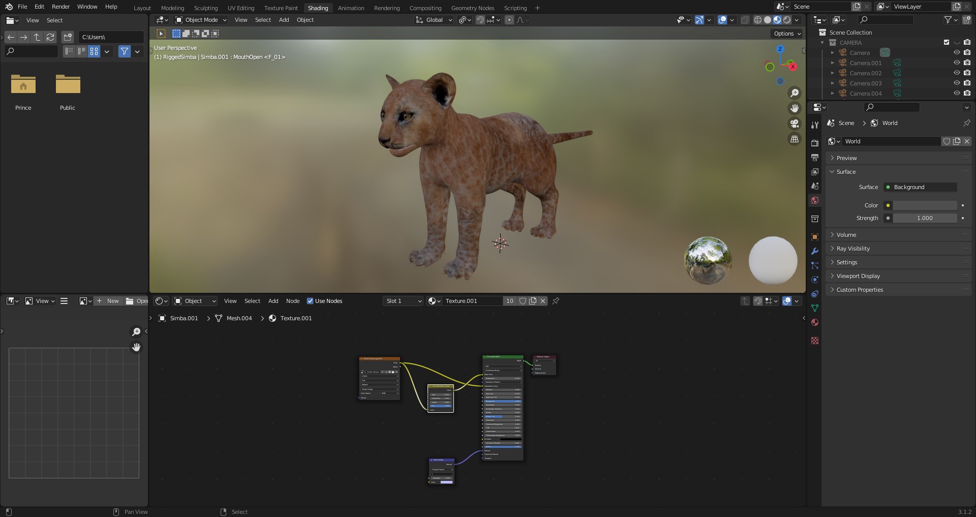 Fur Baby Lion NO Rigged In Blender 3D Model - TurboSquid 2024126