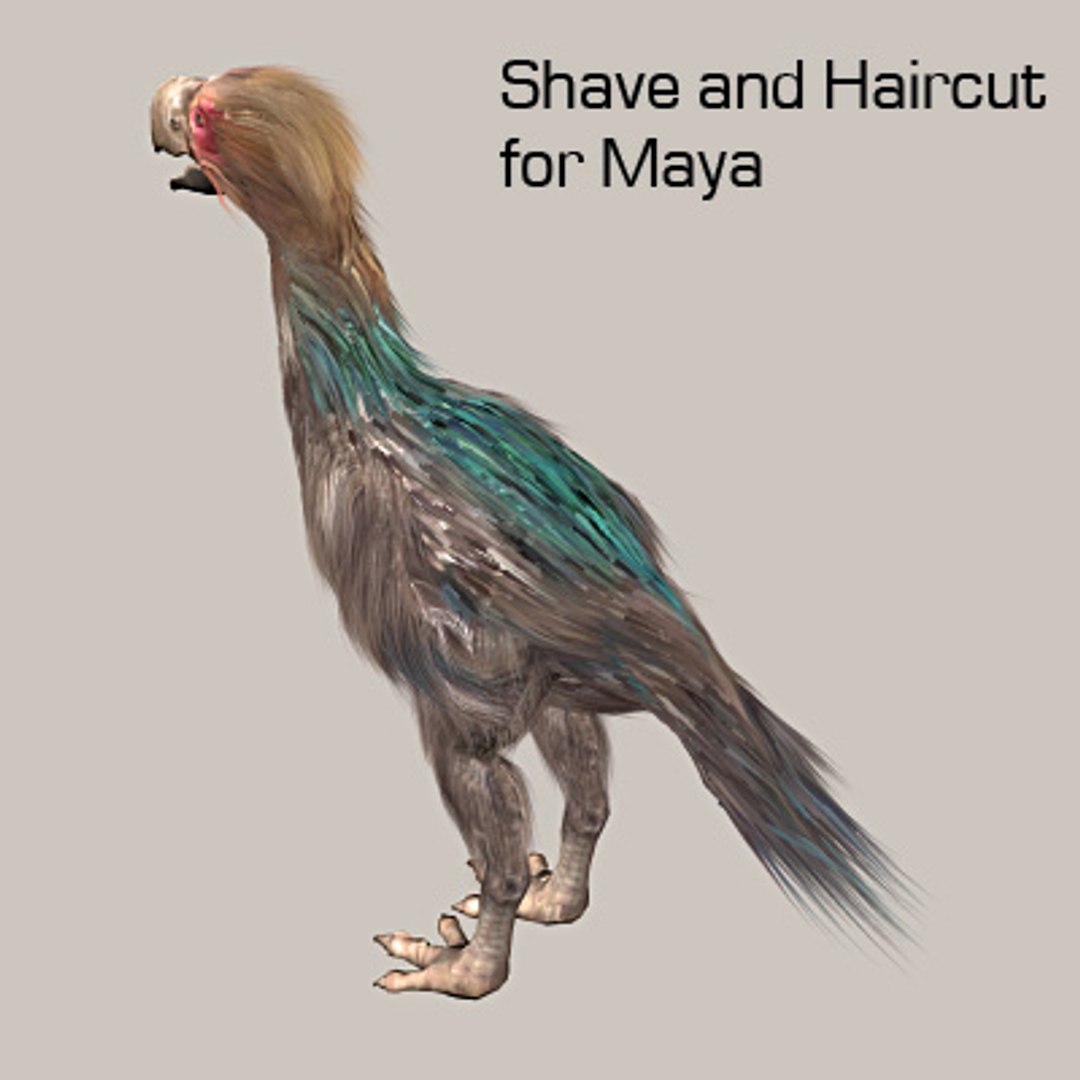 Cheetah3d Diatryma 3d Model