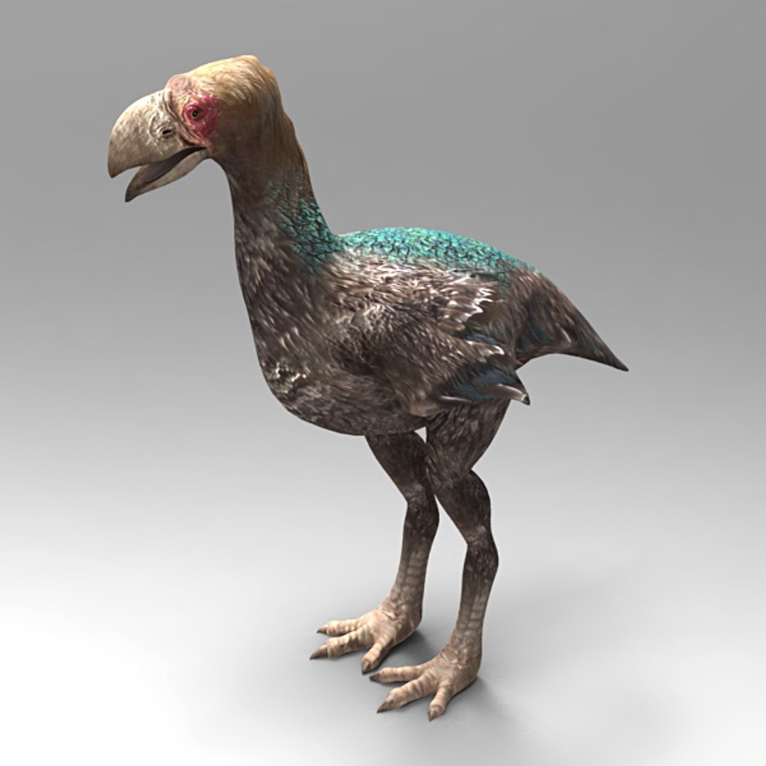 Cheetah3d Diatryma 3d Model