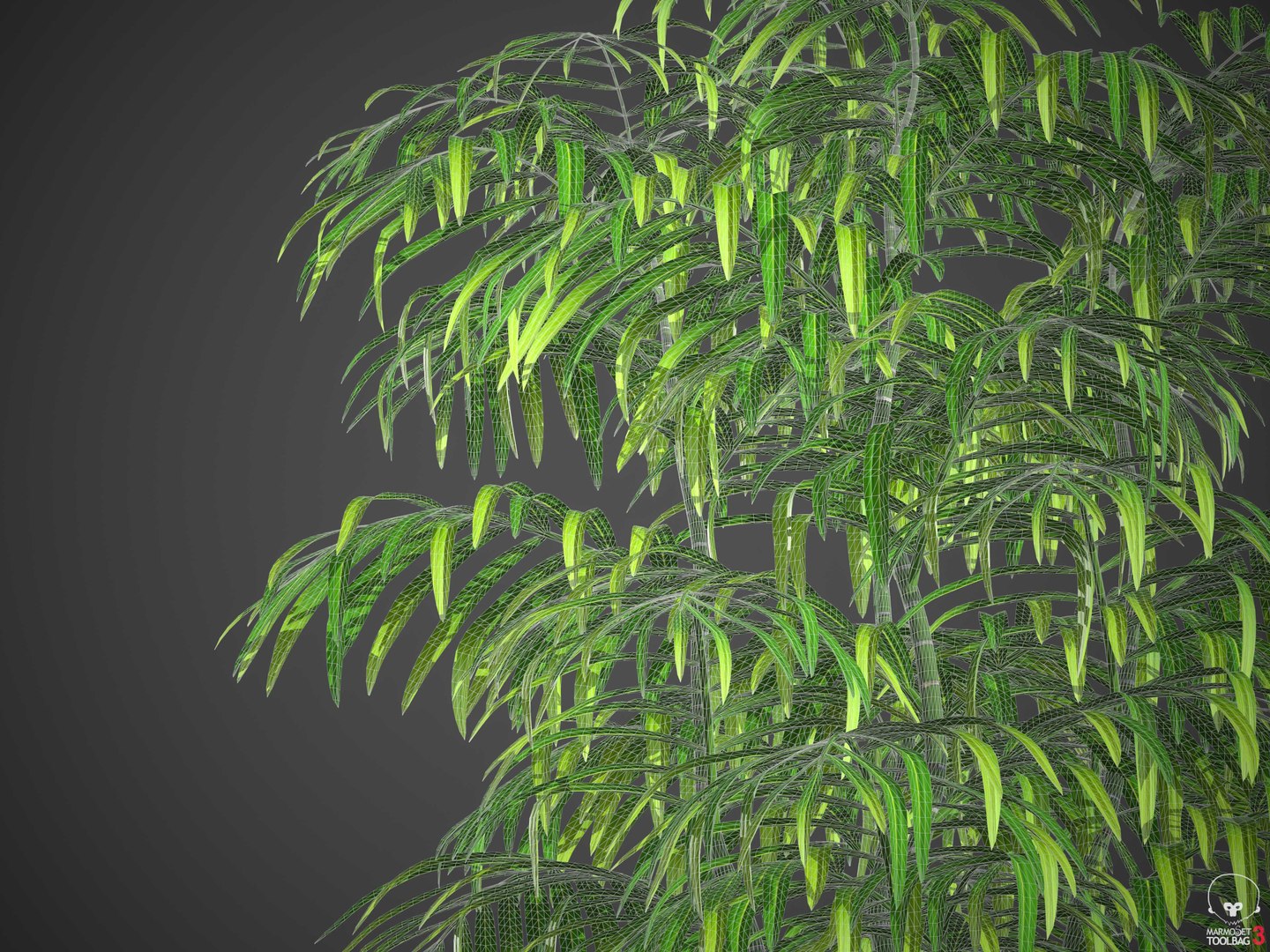 XfrogPlants Butterfly Palm - Dypsis Lutescens 3D - TurboSquid 1731007