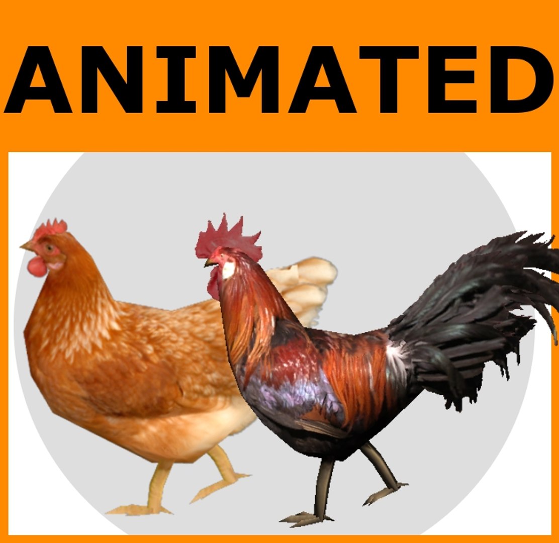 X Ready Chicken Animations Rooster