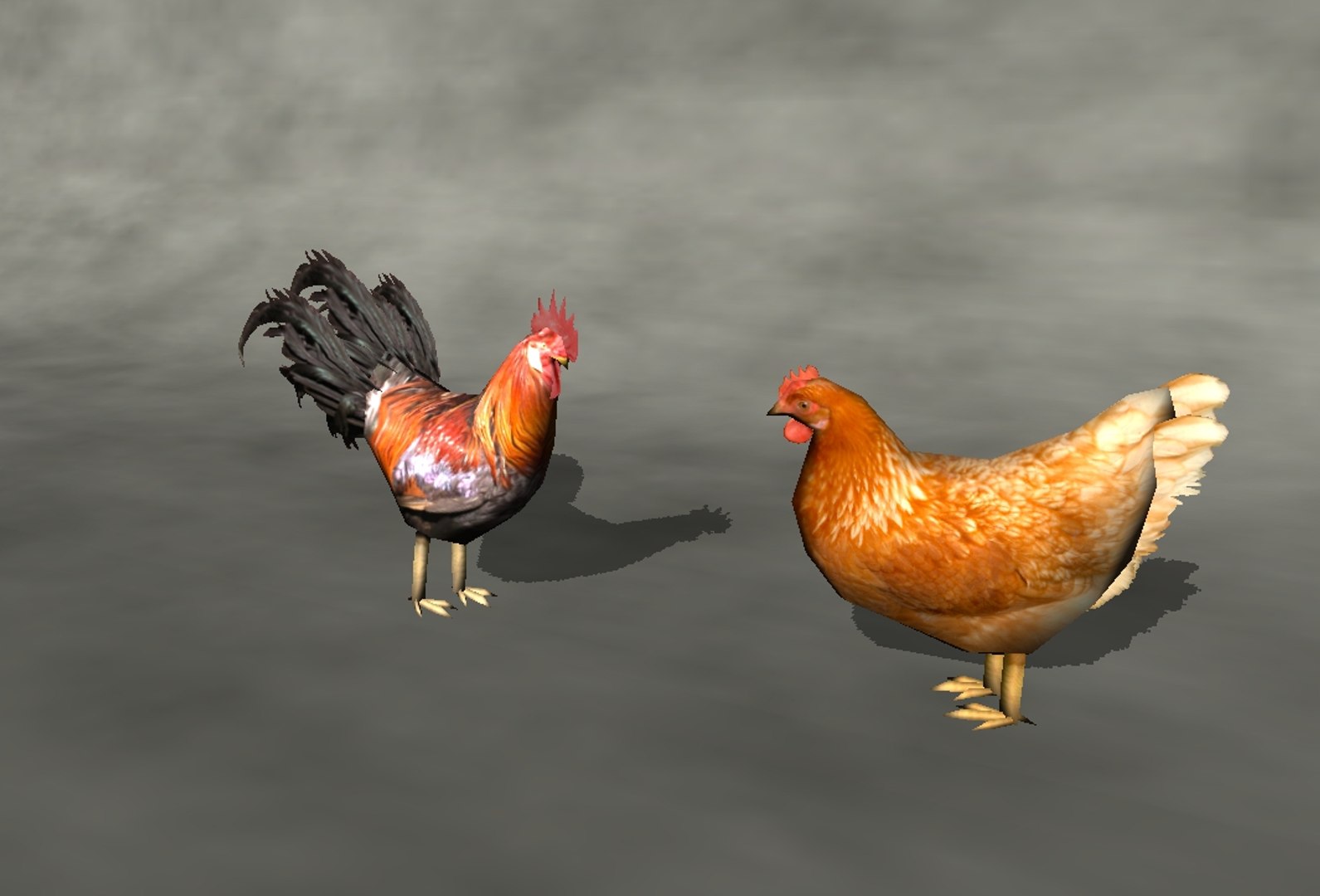 X Ready Chicken Animations Rooster