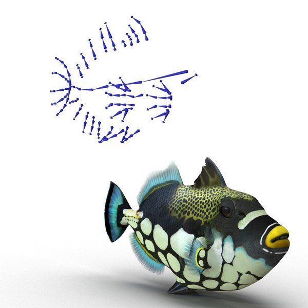 max clown trigger fish rigged