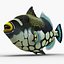 Max Clown Trigger Fish Rigged