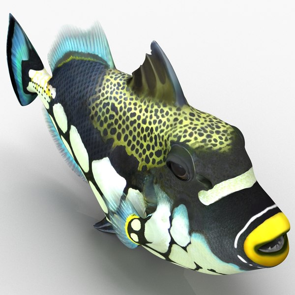 max clown trigger fish rigged