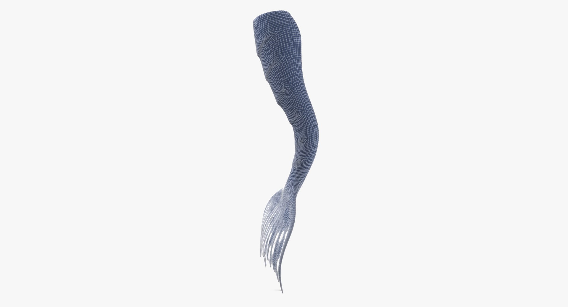 3D Model Mermaid 02 Straight - TurboSquid 1239615