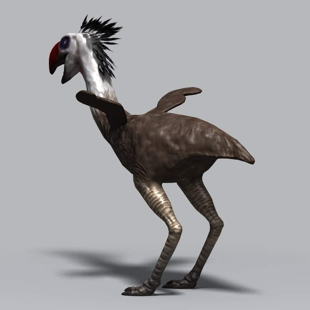 3d Model Phorusrhacos Terror Bird