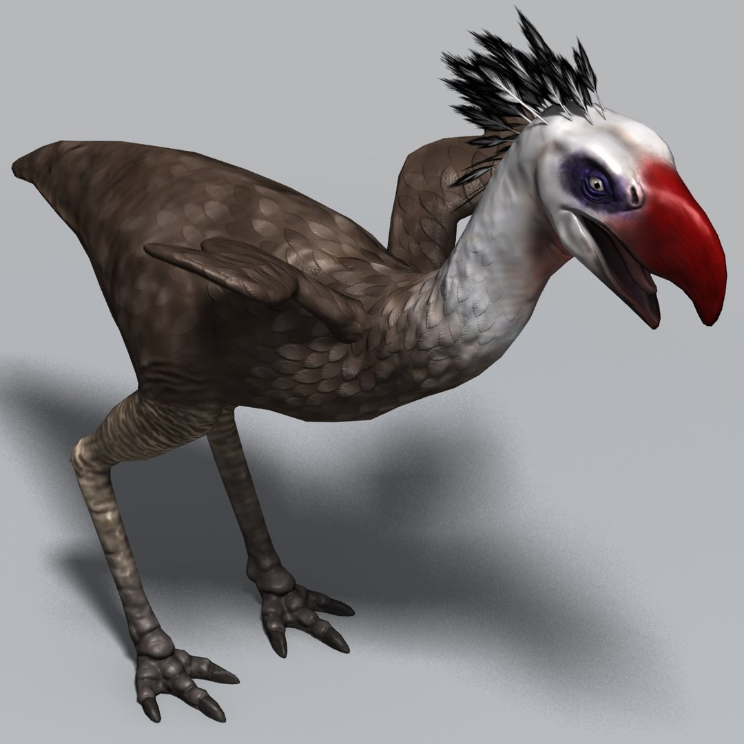 3d Model Phorusrhacos Terror Bird