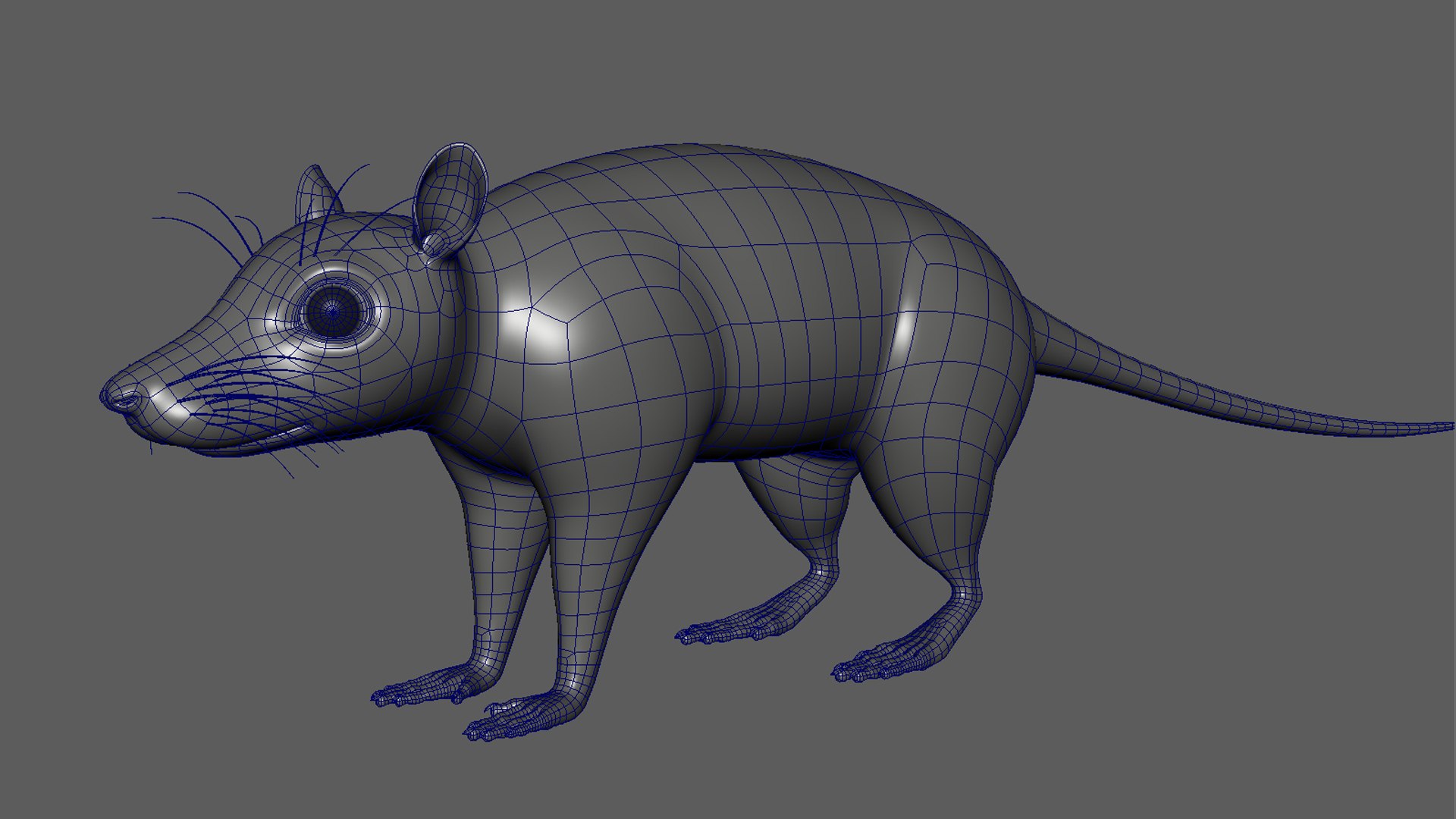 Rat Realistic 3D Model - TurboSquid 2125006
