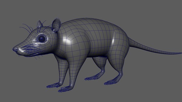 modelo 3d Modelo 3d de rata - TurboSquid 2125006