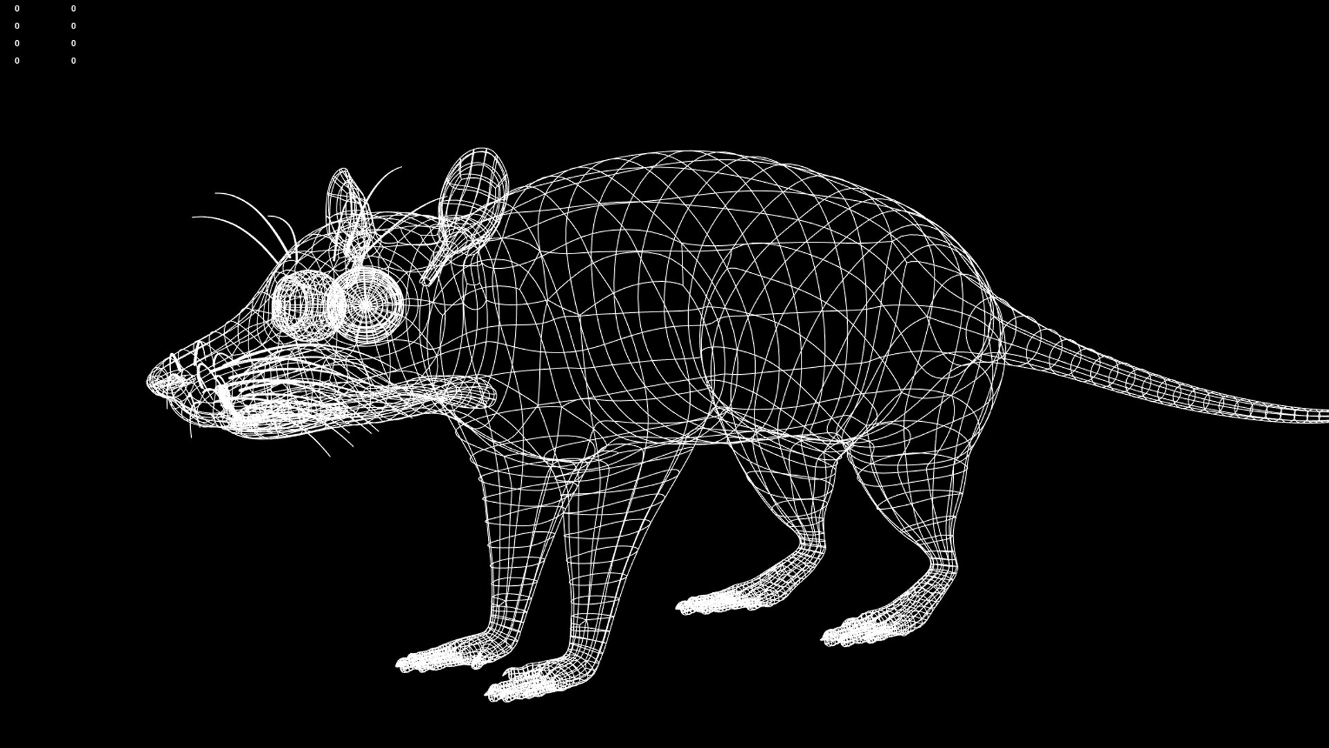 Rat Realistic 3D Model - TurboSquid 2125006