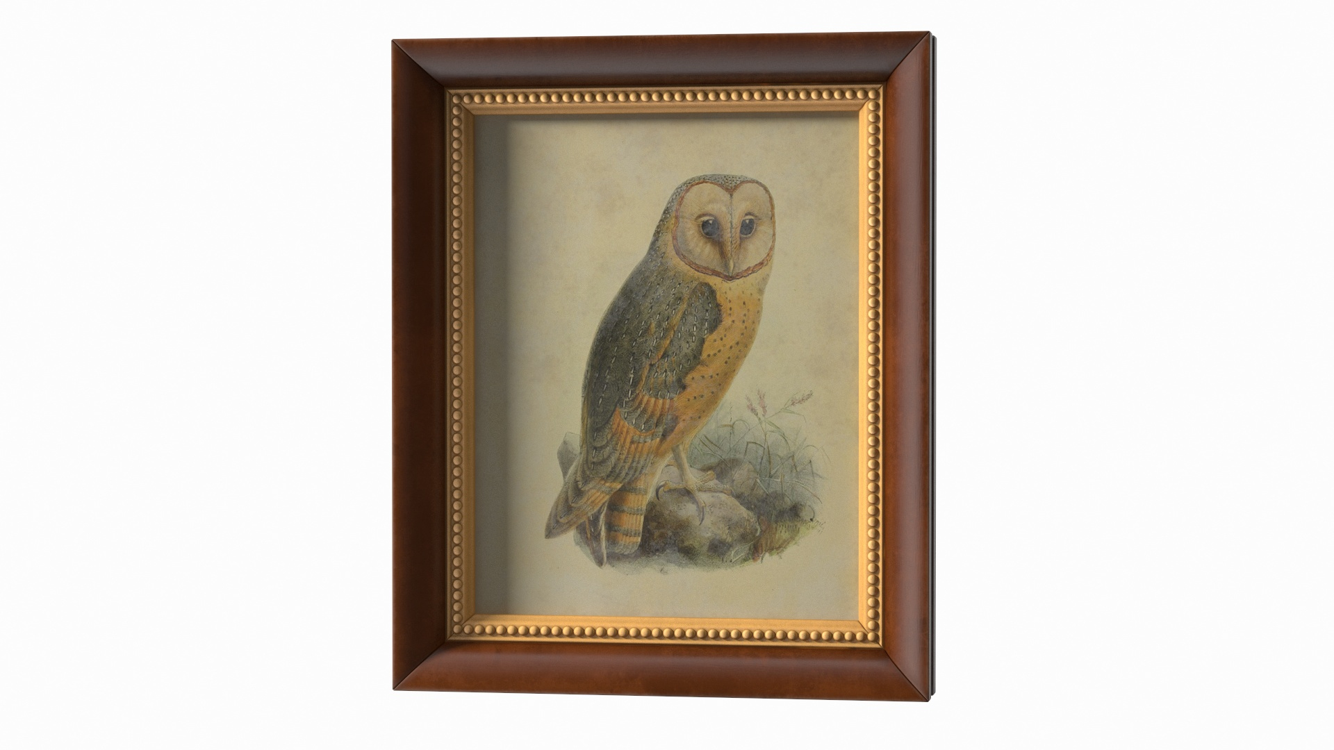 3D Owl Picture In Vintage Frame - TurboSquid 1991697
