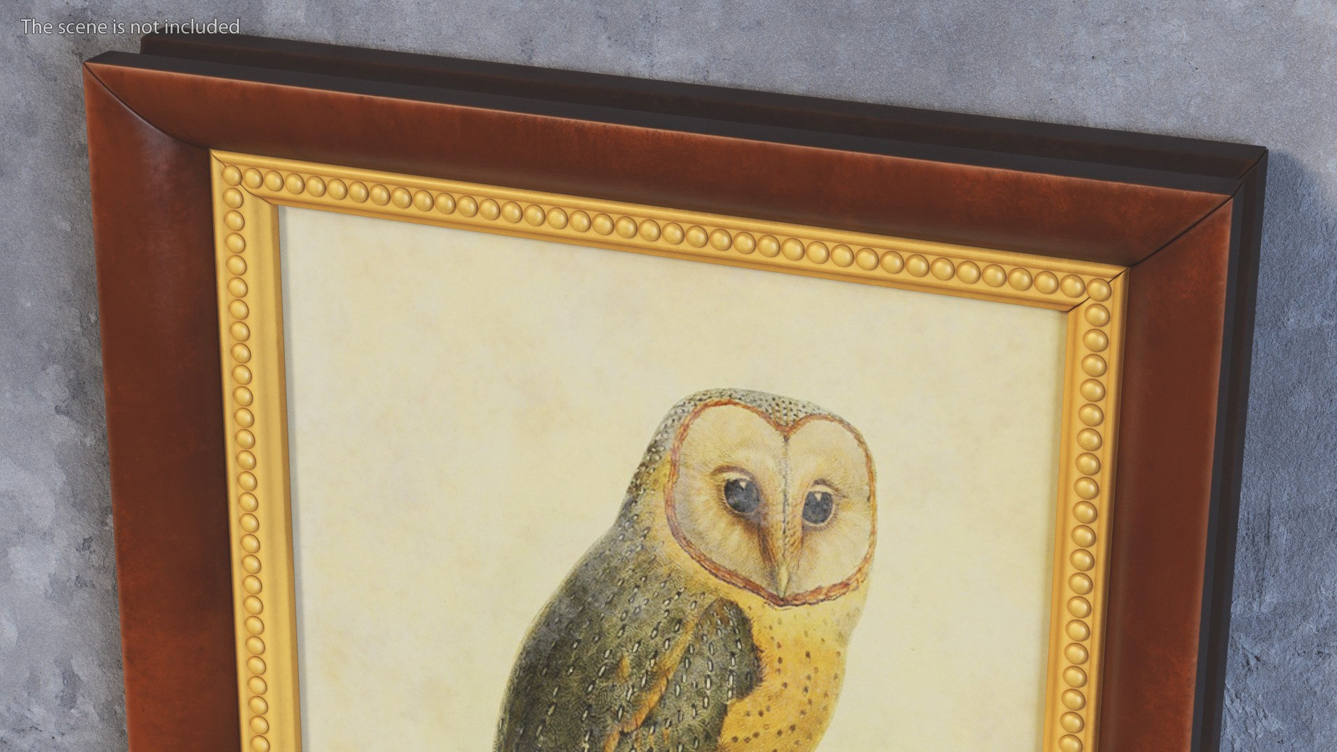 3D Owl Picture In Vintage Frame - TurboSquid 1991697