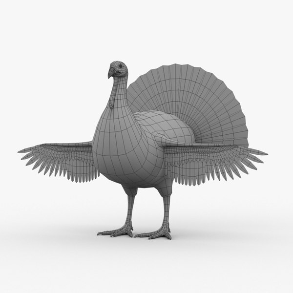 modelo 3d turkey basemesh - TurboSquid 2007178