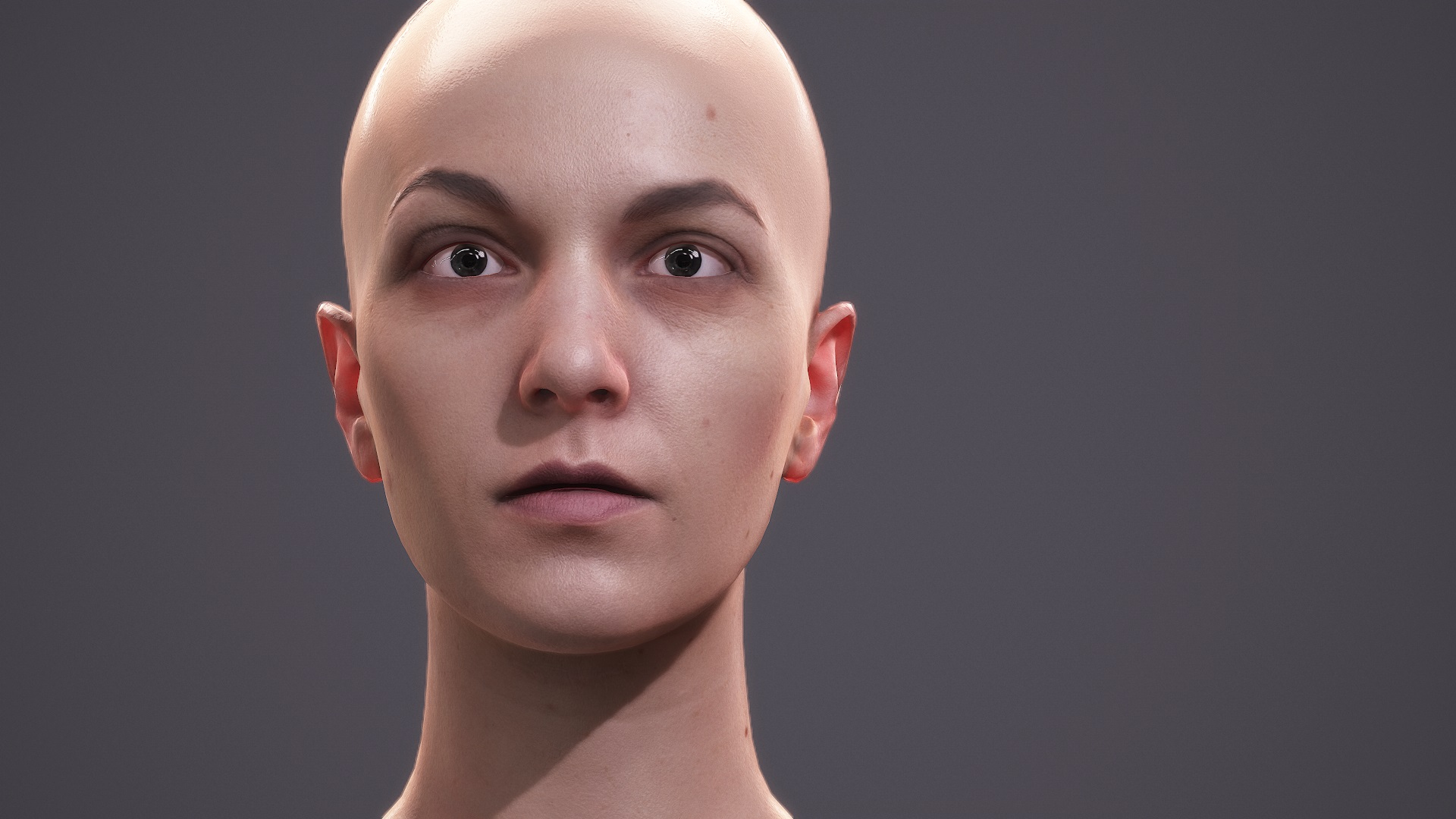 3d Model Character Human - Scans