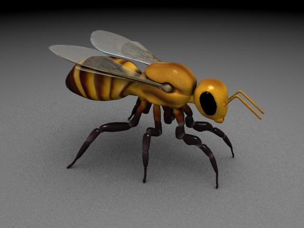 Invertebrate 3D Models for Download | TurboSquid