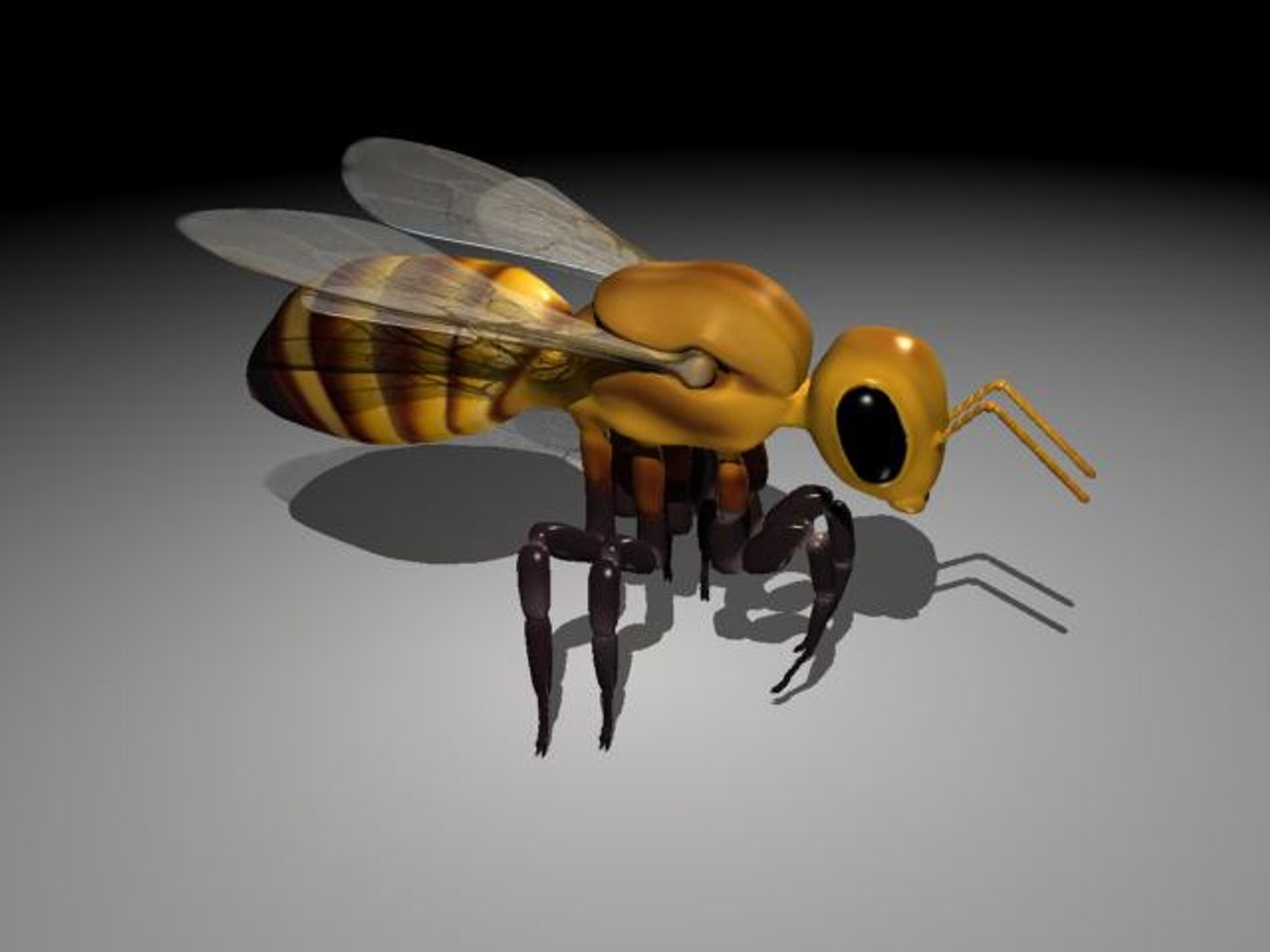 maya bee