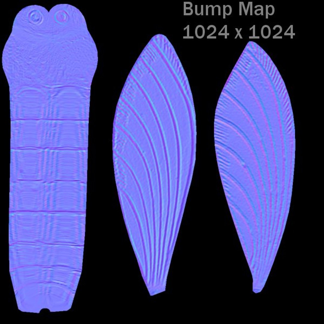 3d Model Wall Dragonfly Fg