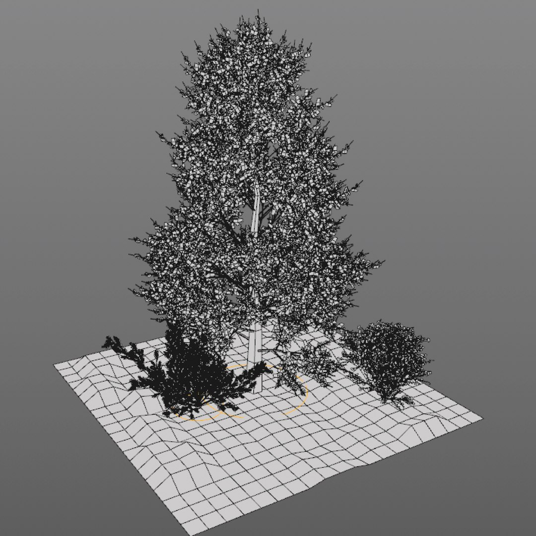 Alder Tree 3D Model - TurboSquid 1471652