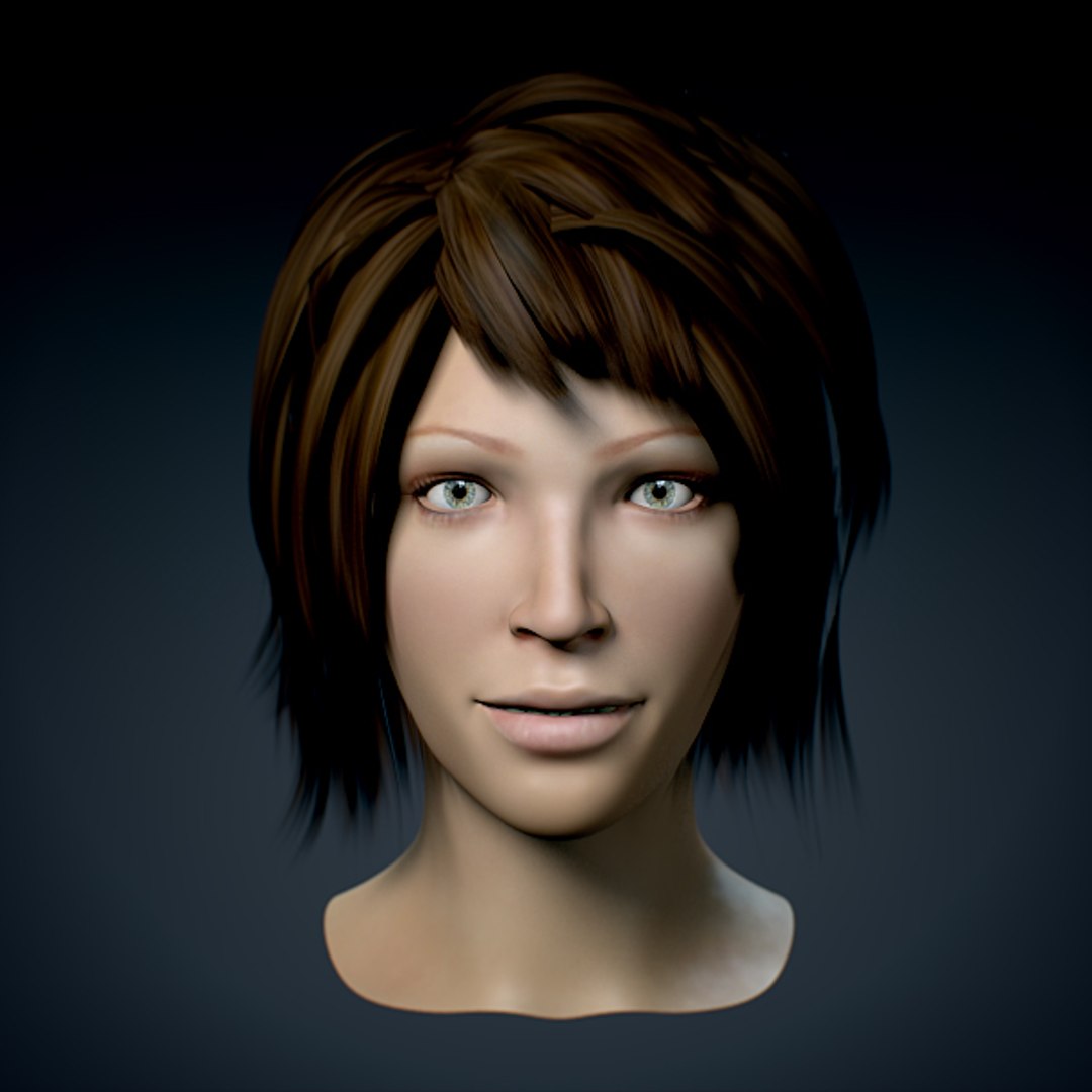 Human Female Head Anatomy 3d Model