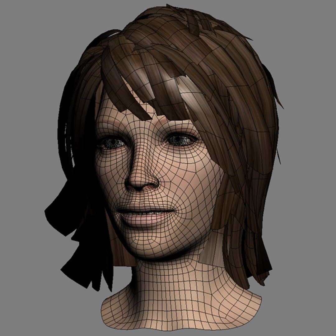 Human Female Head Anatomy 3d Model