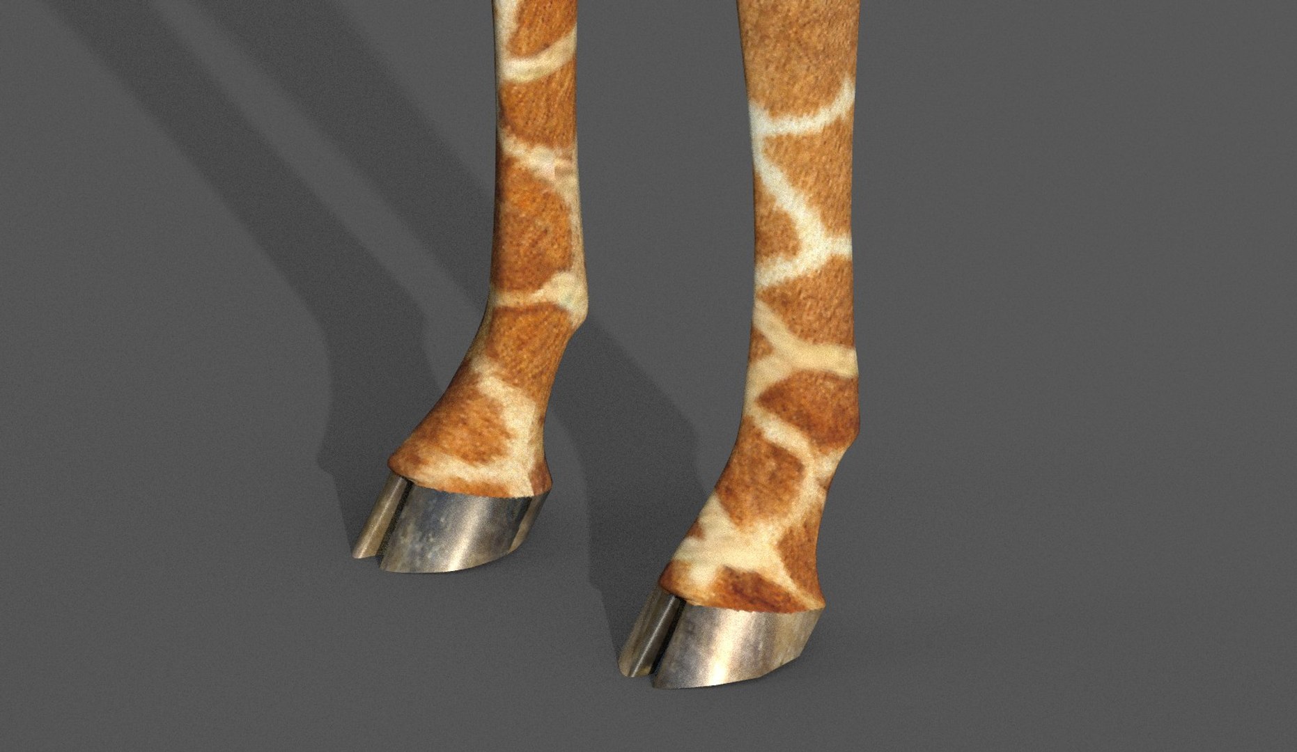 Realistic Giraffe Model - TurboSquid 1699246