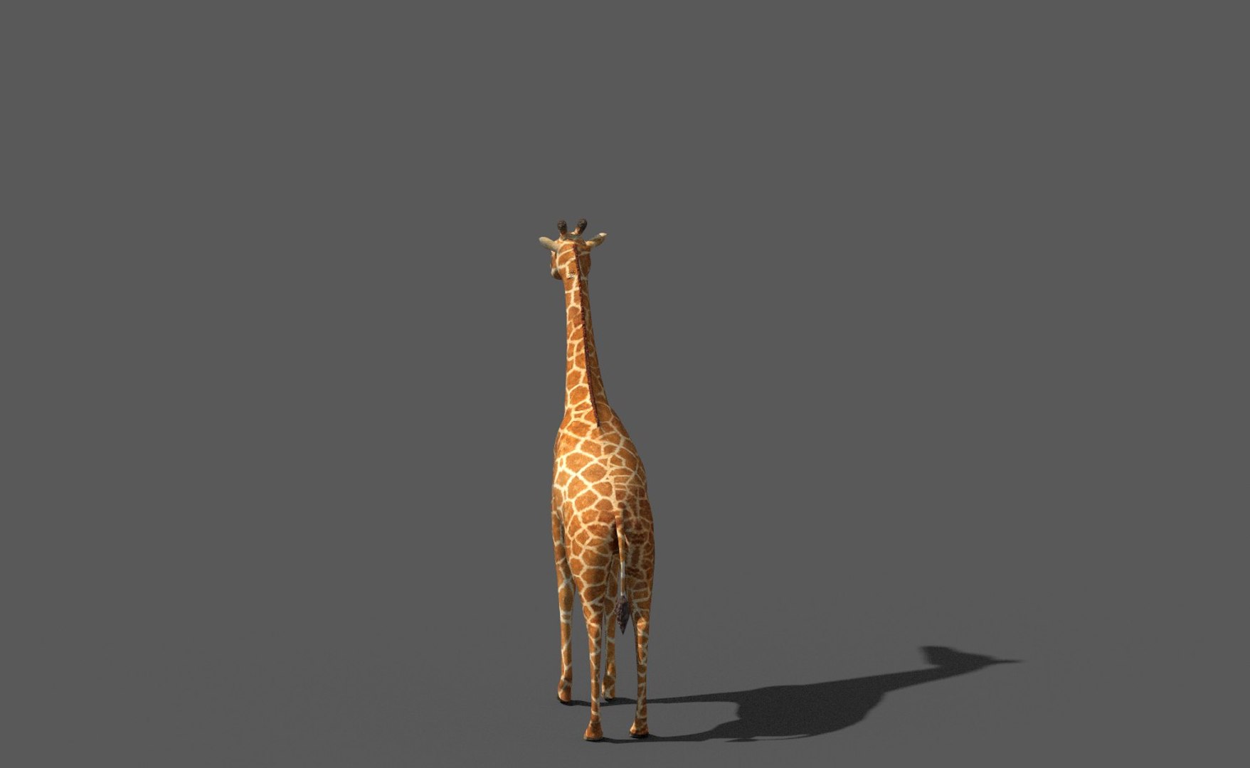 Realistic Giraffe Model - TurboSquid 1699246