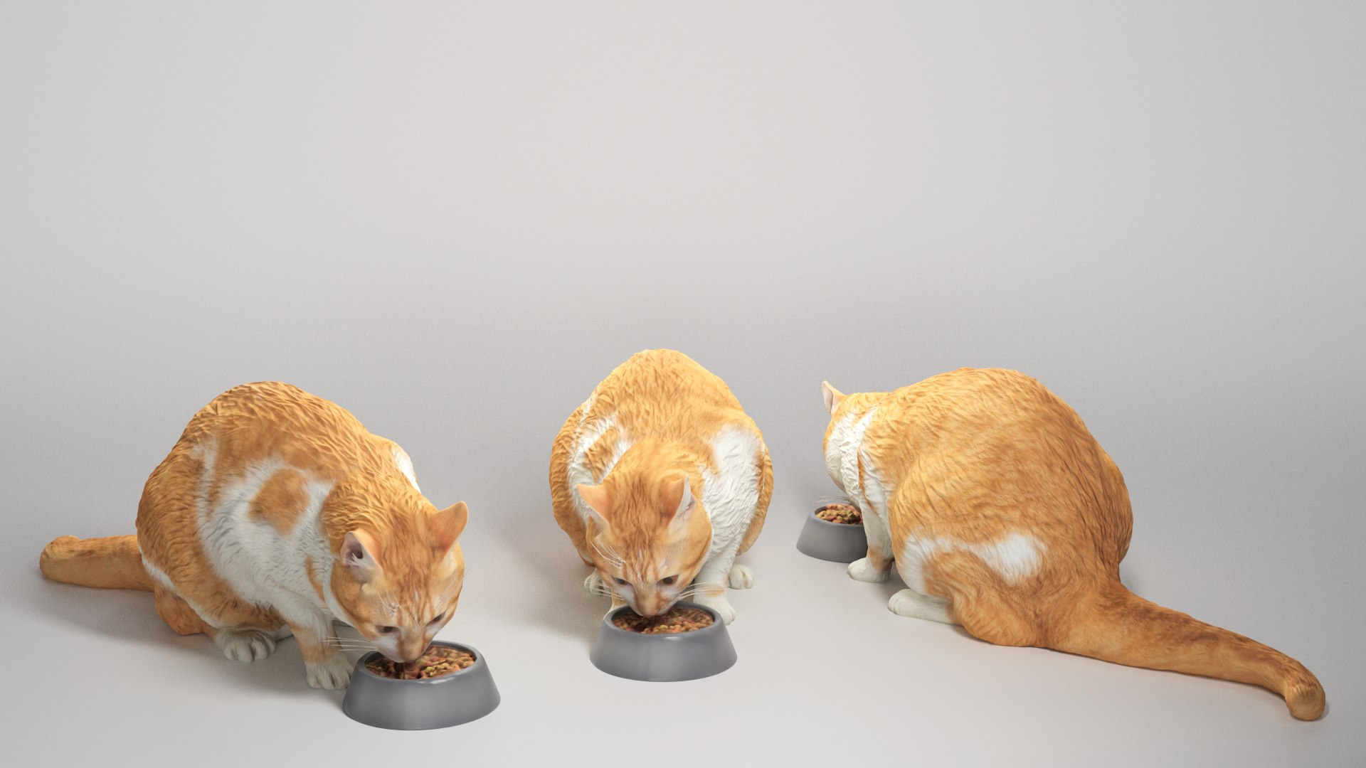3D Cat Eating Food 12 Model - TurboSquid 1743289