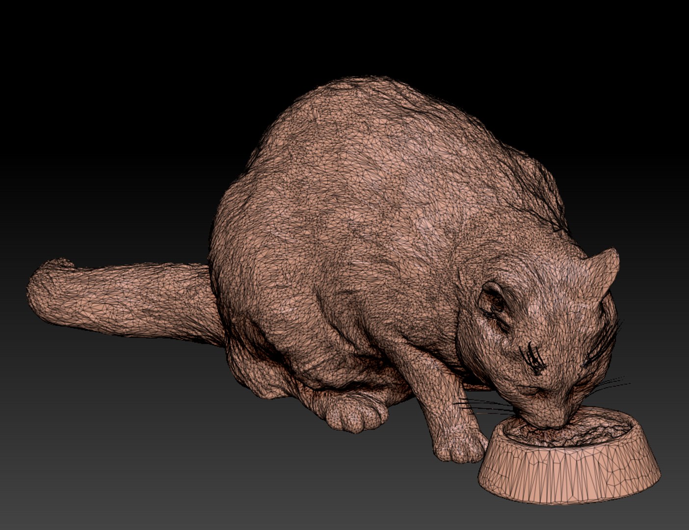 3D Cat Eating Food 12 Model - TurboSquid 1743289