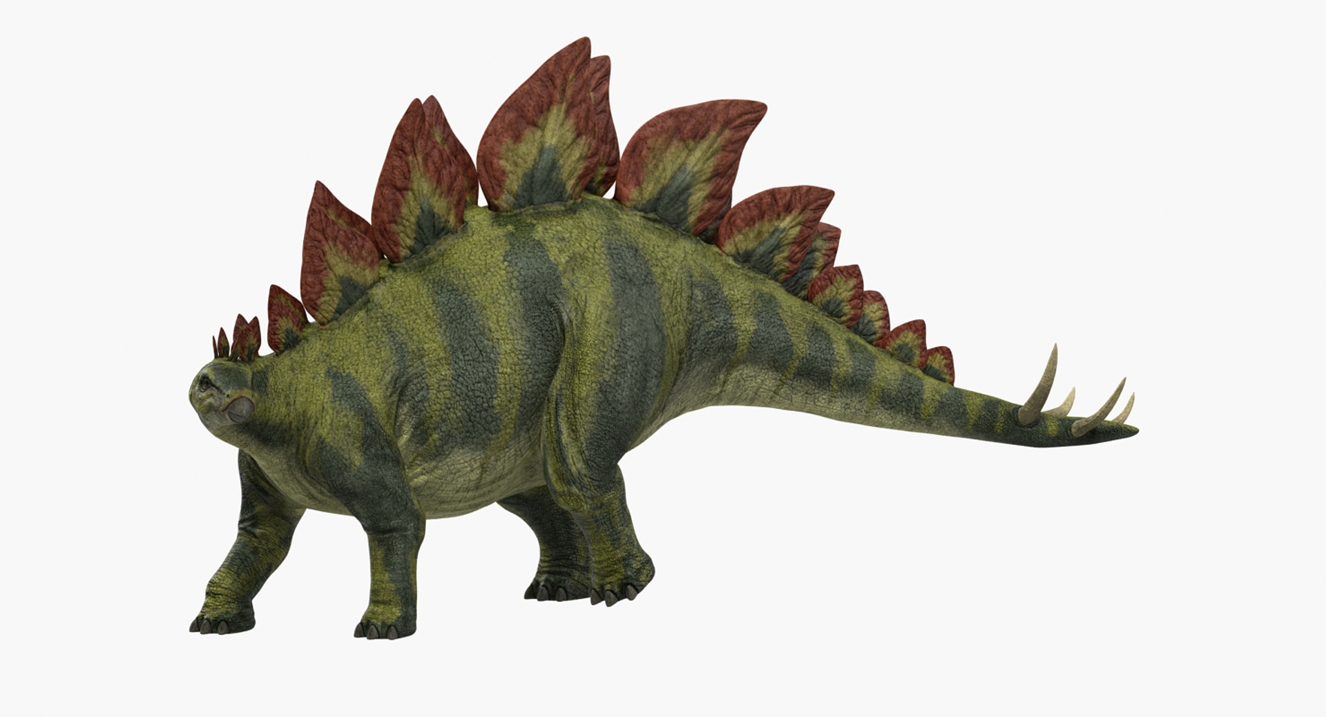3d 3ds Stegosaurus Standing Pose