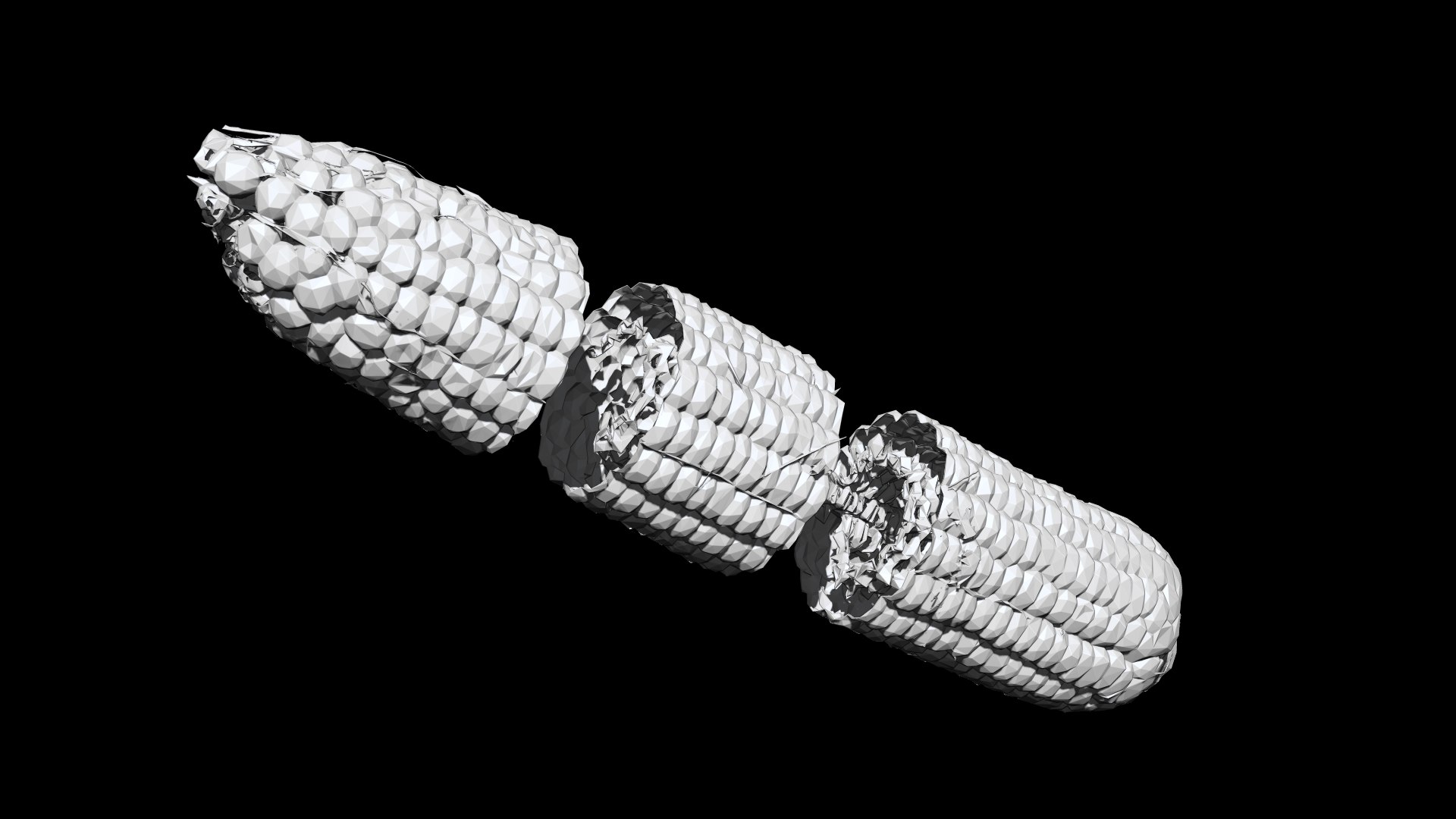 Corn 3D CT Scan Model Cut2 Decimate 3 Percent 3D Model - TurboSquid 1945227