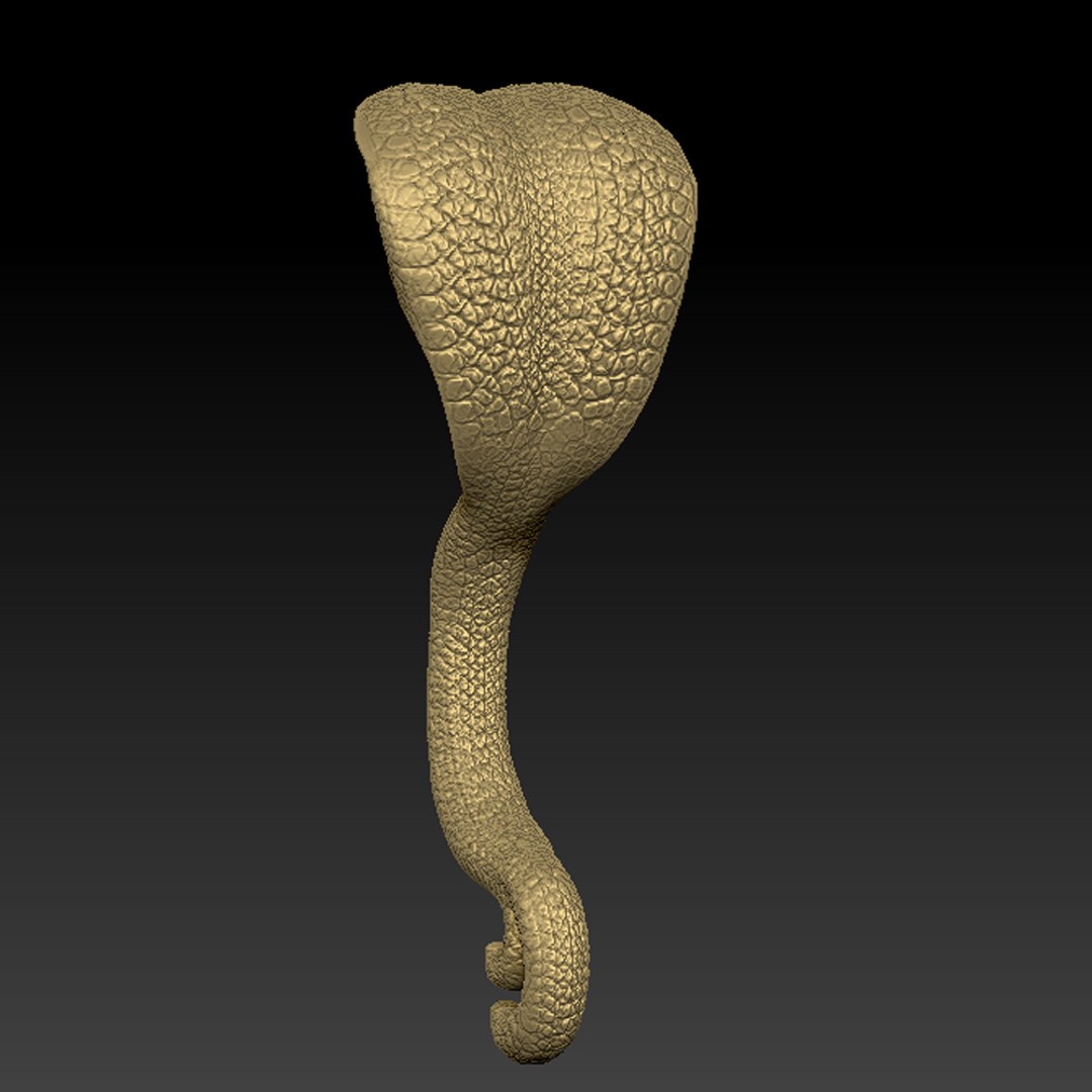Cobra Model - TurboSquid 1222170