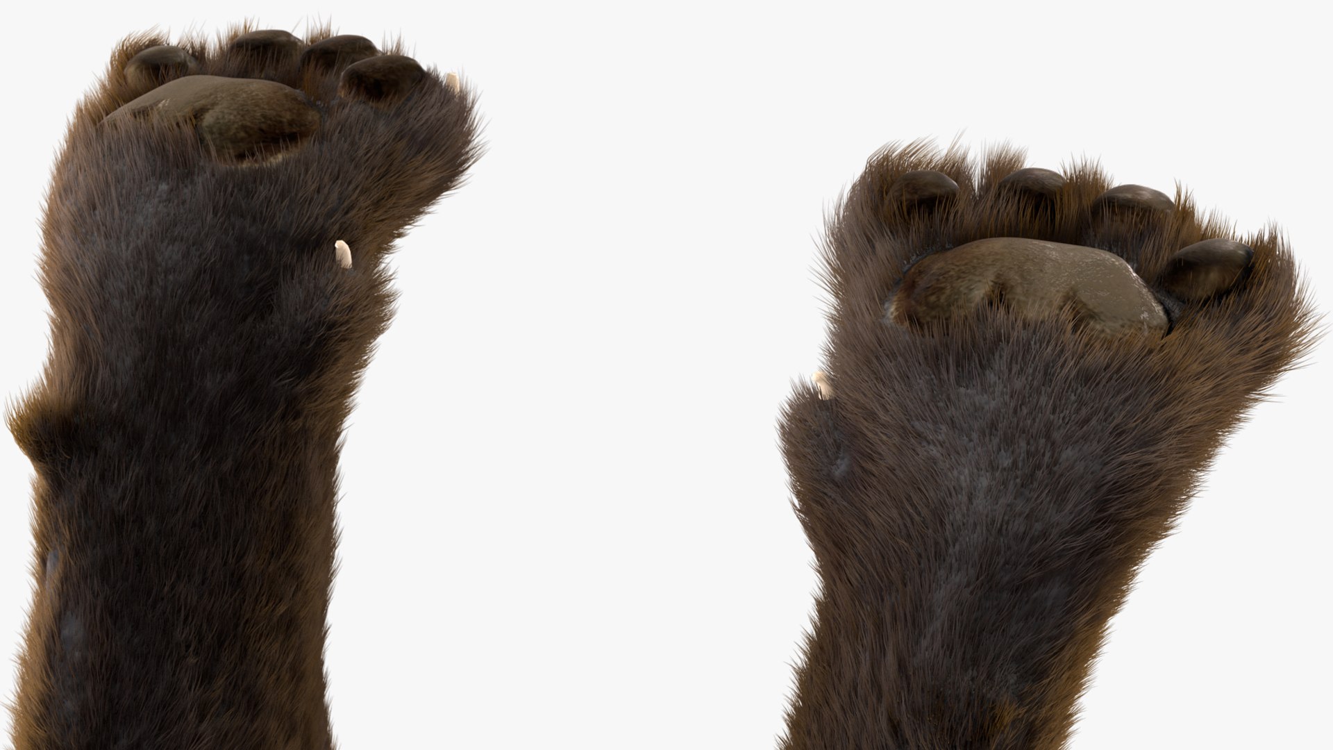 3D Black Panther Stand Pose Fur - TurboSquid 2210712