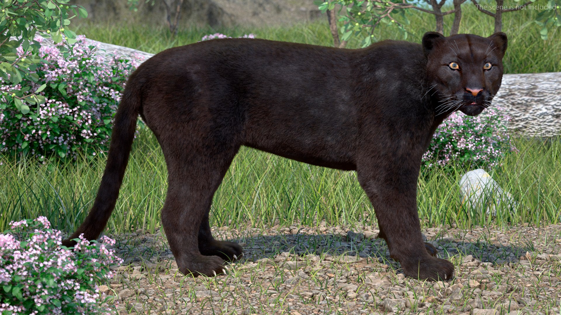 3D Black Panther Stand Pose Fur - TurboSquid 2210712