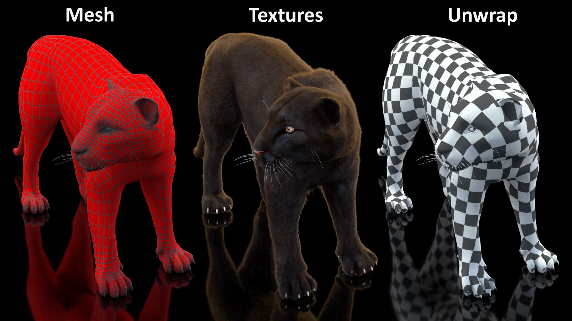 3D Black Panther Stand Pose Fur - TurboSquid 2210712