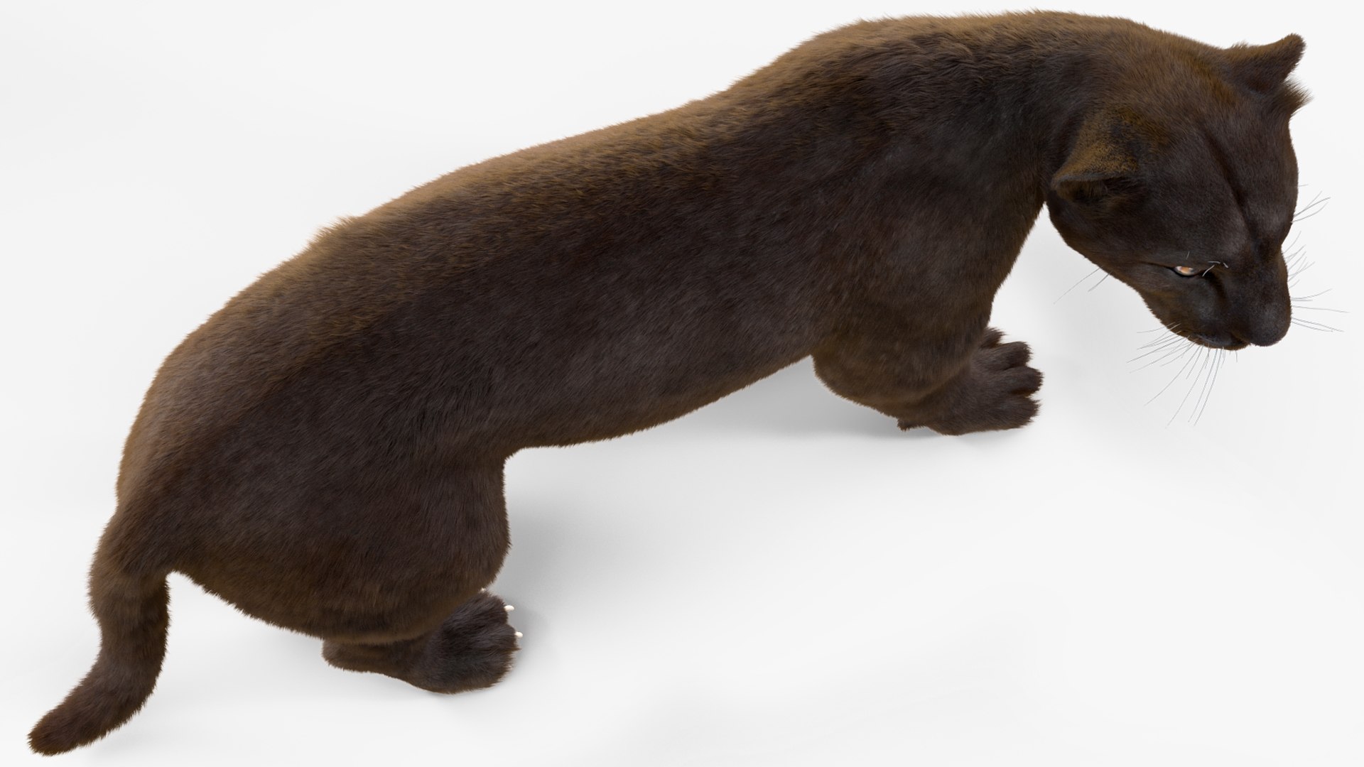 3D Black Panther Stand Pose Fur - TurboSquid 2210712