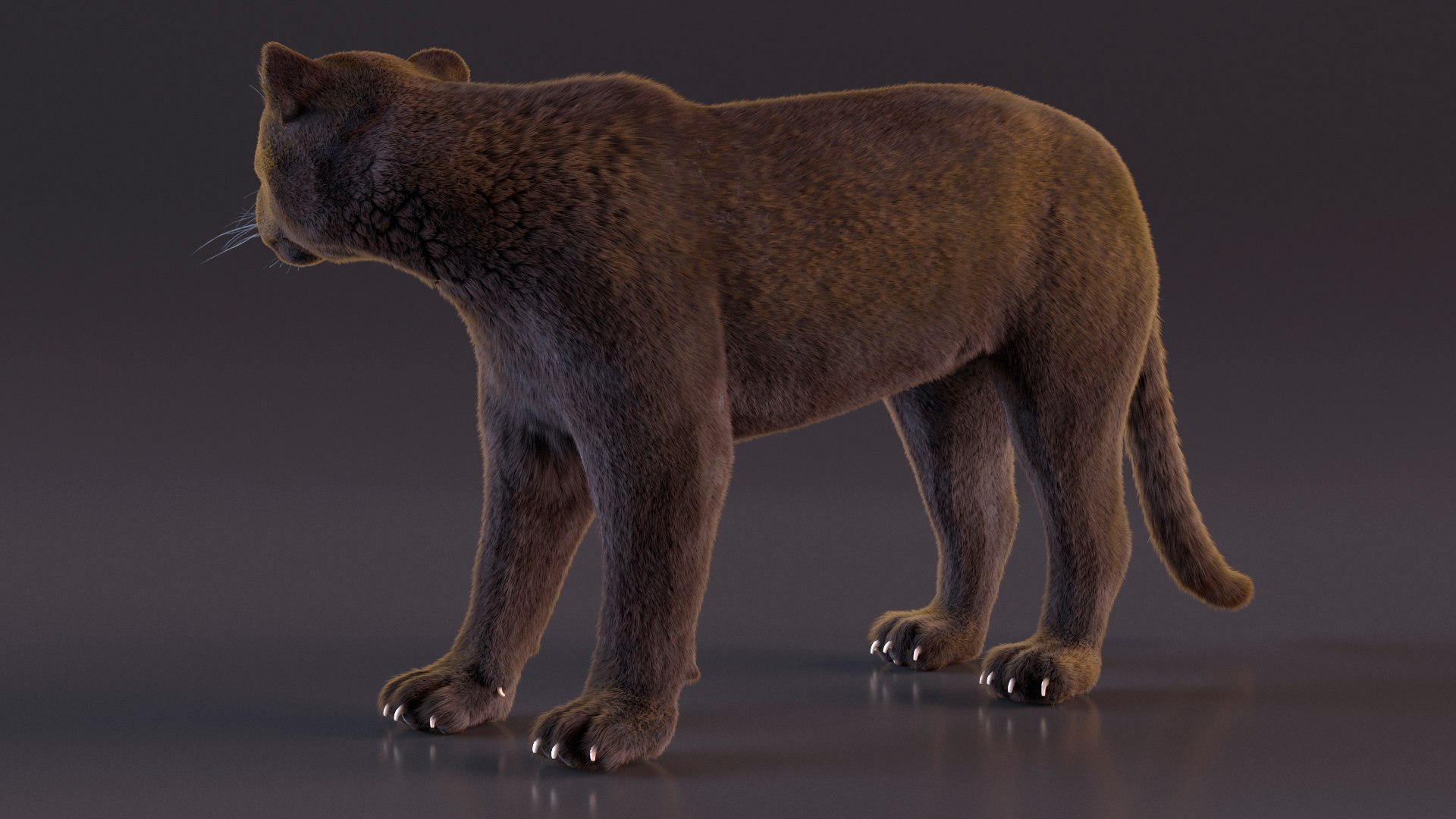 3D Black Panther Stand Pose Fur - TurboSquid 2210712