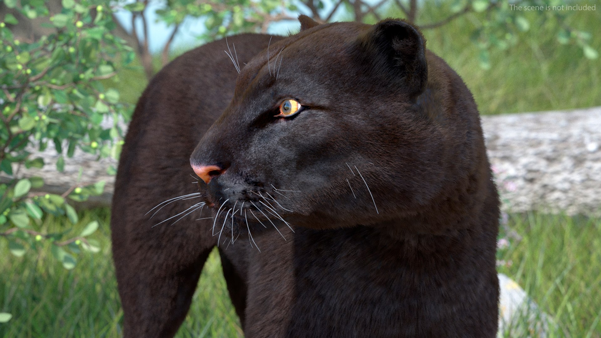 3D Black Panther Stand Pose Fur - TurboSquid 2210712