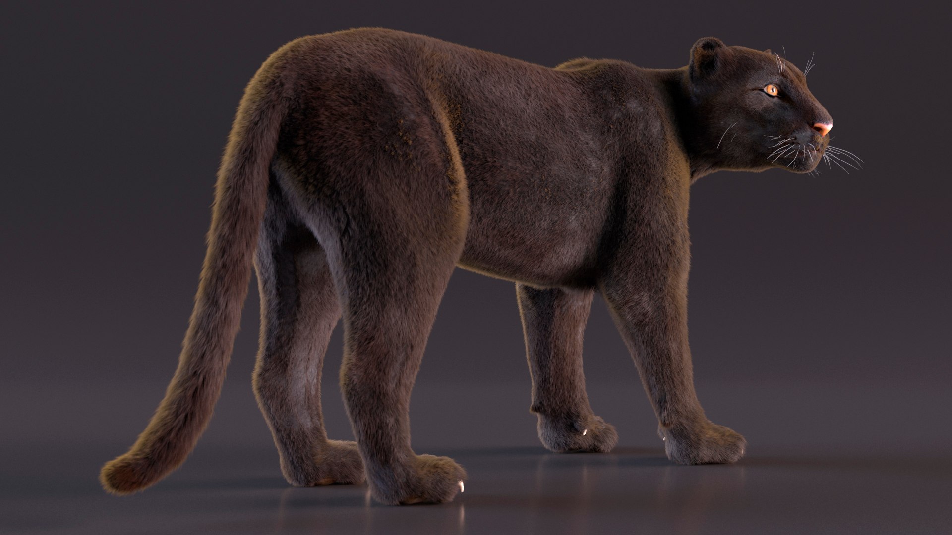 3D Black Panther Stand Pose Fur - TurboSquid 2210712