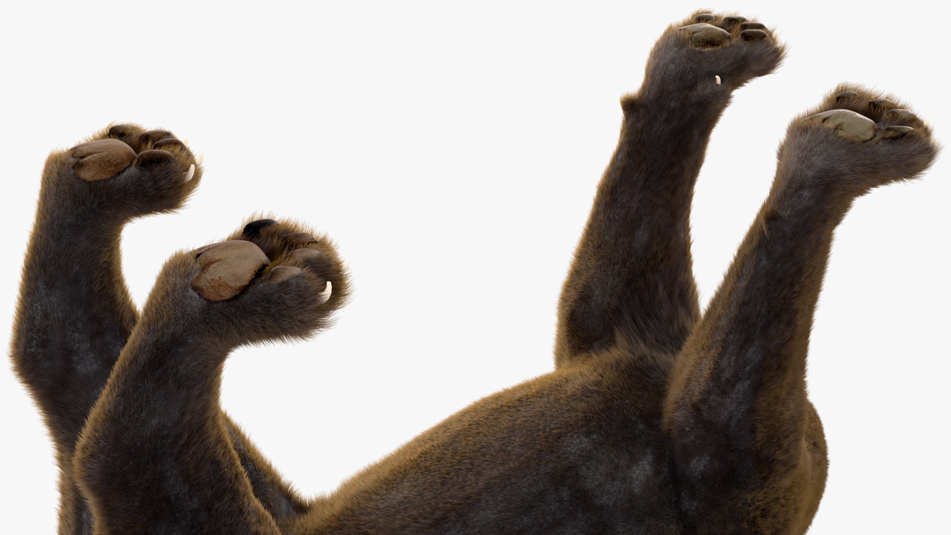 3D Black Panther Stand Pose Fur - TurboSquid 2210712