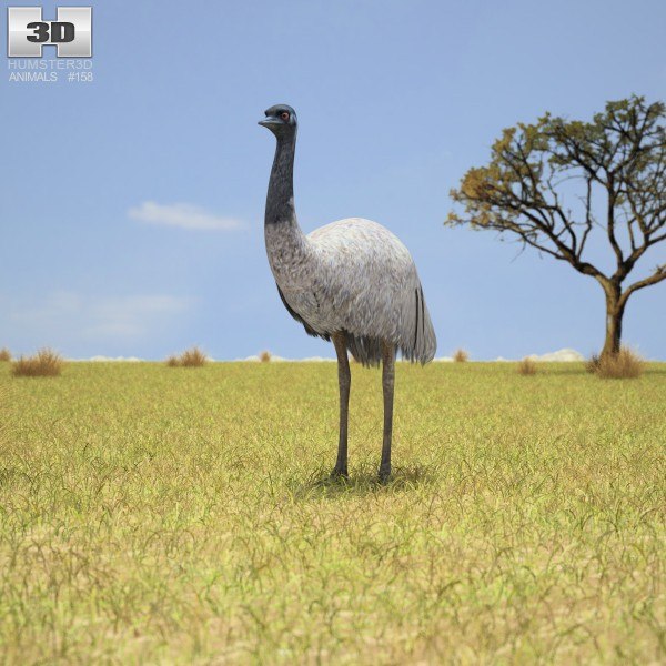 3d emu
