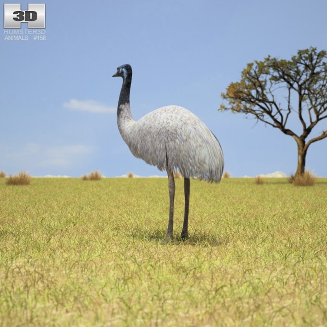 3d Emu